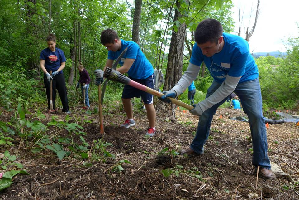 Over 50 Forest Restoration Events in July! - Greenspace