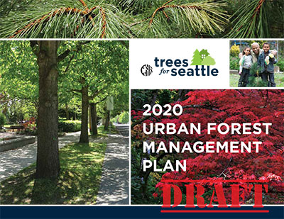 Managing Seattle's Urban Forest - Seeking Feedback - Greenspace