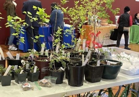 Seven Community Events to Help You Celebrate Earth Month 2025 - Greenspace