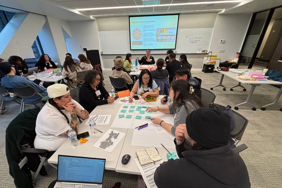 How the knowledge and experiences of Indigenous and Urban Native people ...